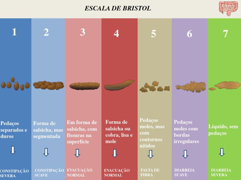 Escala de Bristol | PDF