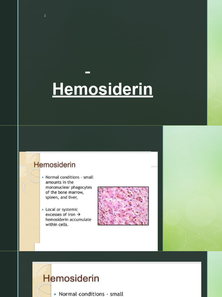 Hemosiderin | PDF
