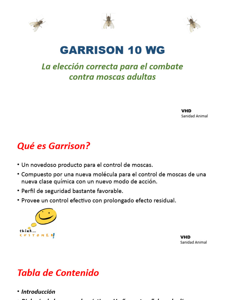 Garrison 10 WG | PDF | Mosca | Insectos