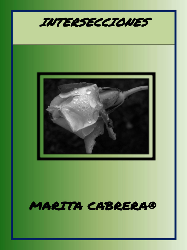 INTERSECCIONES | PDF