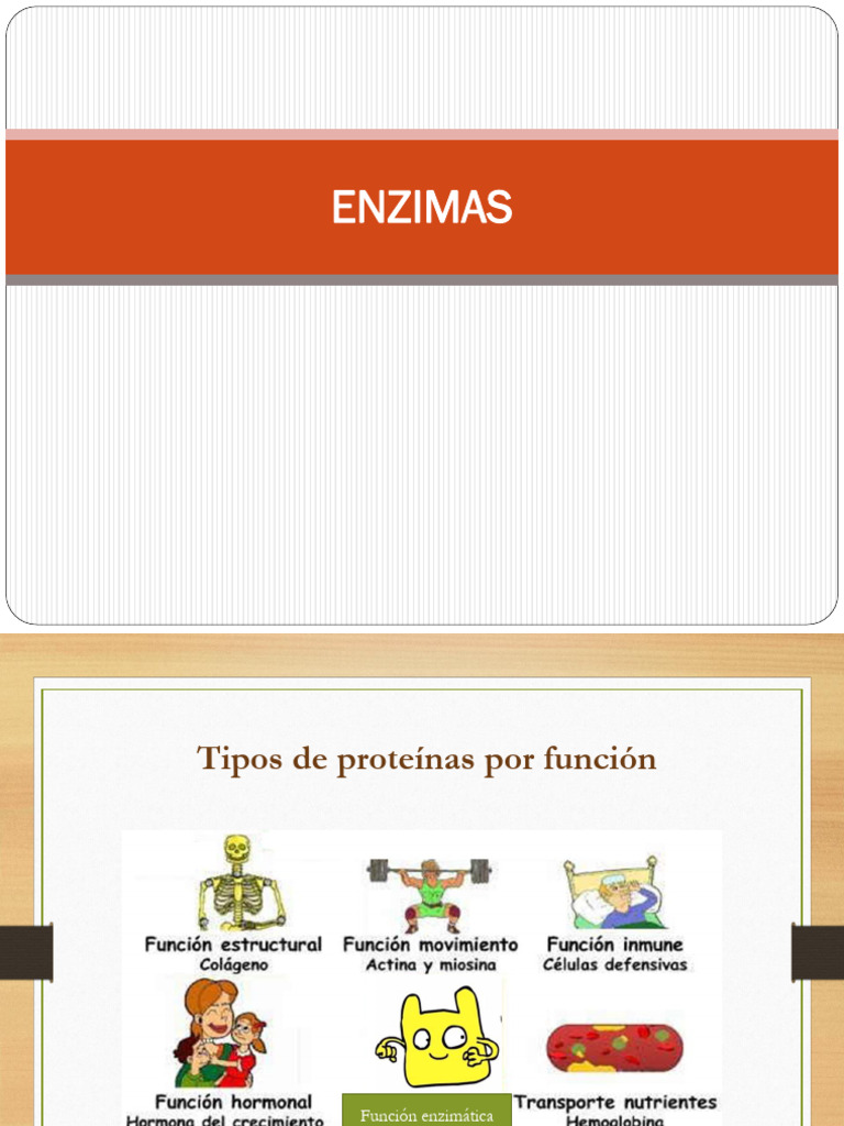 ENZIMAS | PDF | Enzima | Inhibidor de la enzima