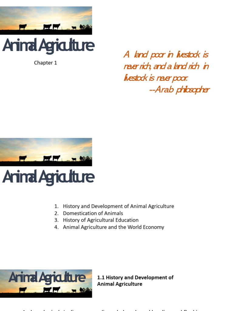 C2 Histroy of Animal Science 1 | Download Free PDF | Agriculture | Cattle