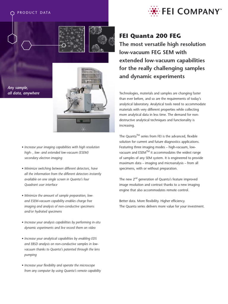 FEI Quanta 200 FEG | PDF | Scanning Electron Microscope | Chemistry