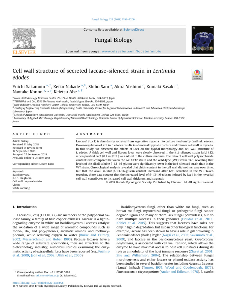 Sakamoto Et Al 2018. Cell Wall Structure of Secreted Laccase-silenced Strain in Lentinula Edodes ...