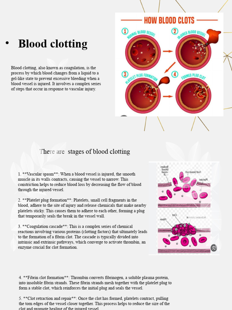 HP Seminar | PDF | Coagulation | Bleeding