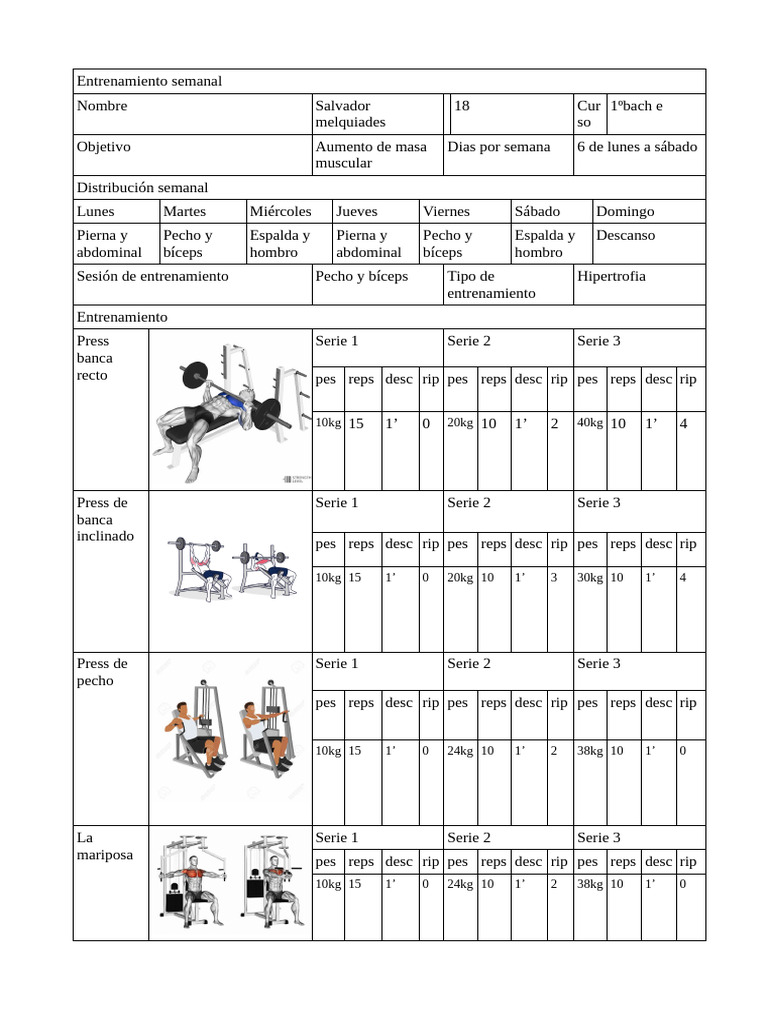 Entrenamiento | PDF | Entrenamiento con pesas | Aptitud física