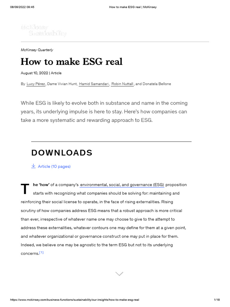 How To Make ESG Real - McKinsey | Download Free PDF | Business ...