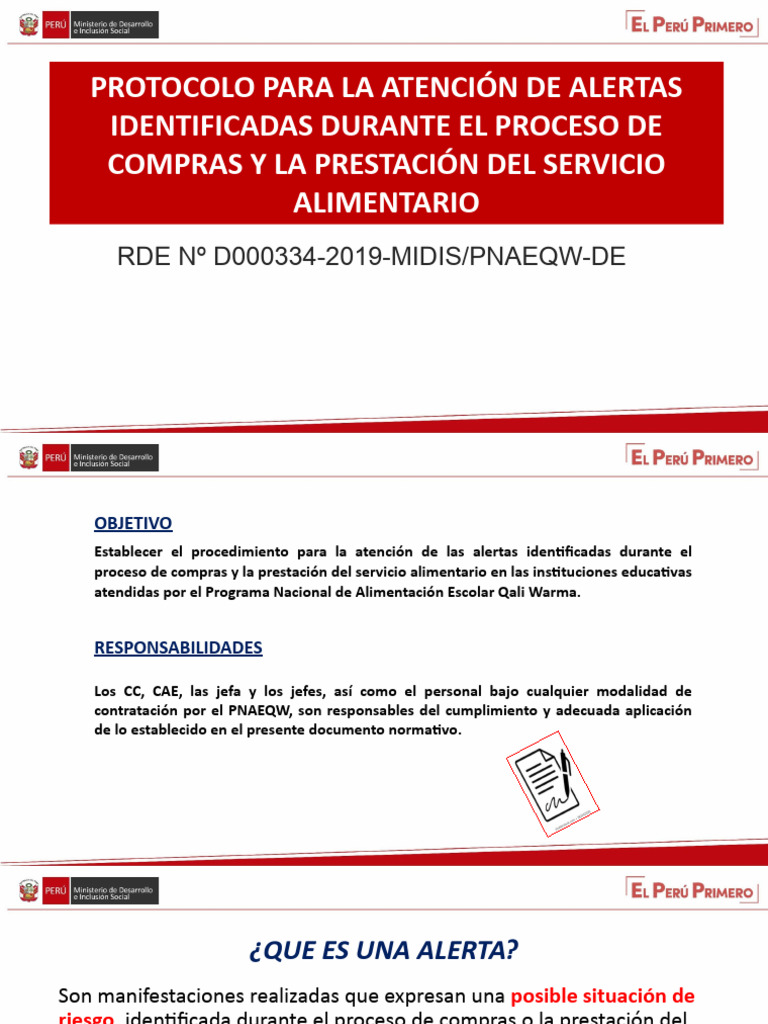 Protocolo de Atencion de Alertas | PDF