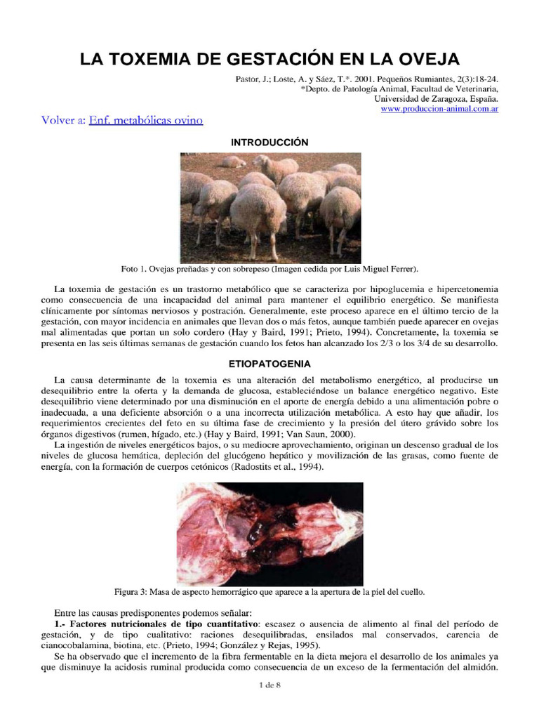 90-Toxemia Gestacion | PDF