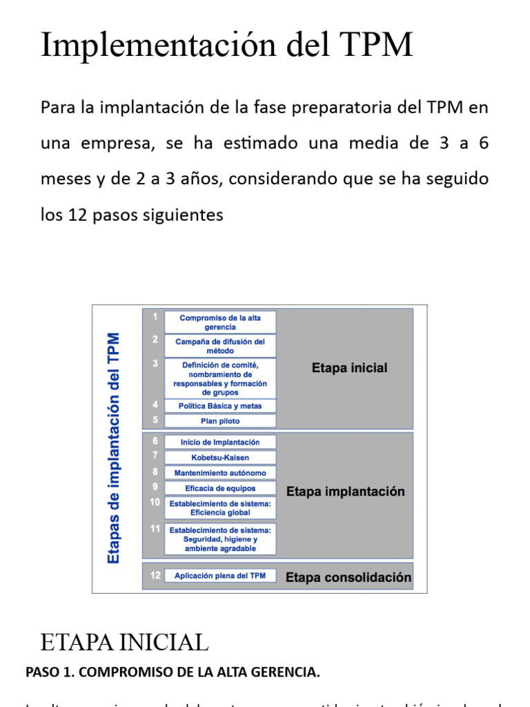 Implementación Del TPM | PDF | Business | Planificación