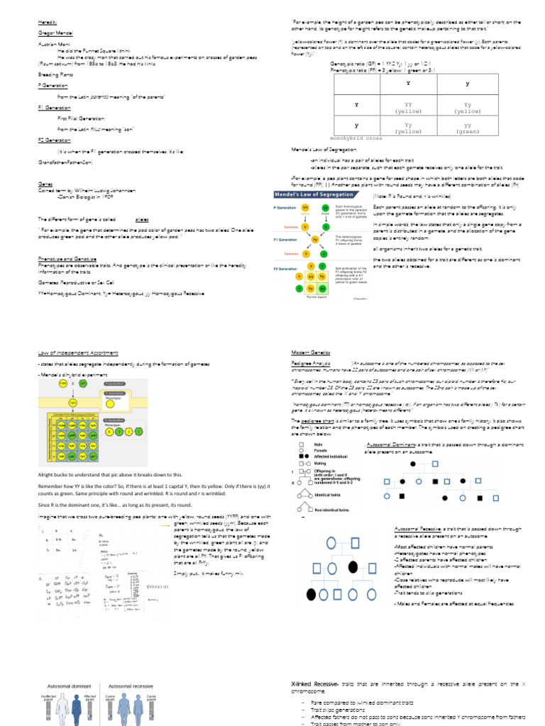 Biology Reviewer (AutoRecovered) | PDF | Dominance (Genetics) | Allele