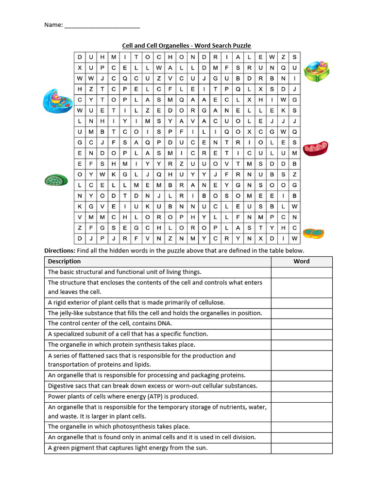 Cell and Cell Organelles - Word Search Puzzle | PDF | Cell (Biology ...