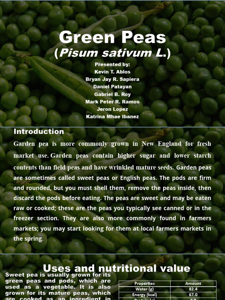 Green Peas Report | PDF | Pea | Legume