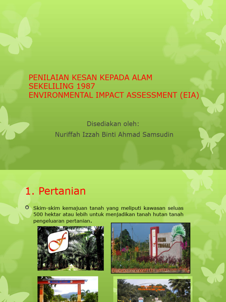 Penilaian Kesan Kepada Alam Sekeliling 1987 Environmental Impact Assessment (Eia) | PDF