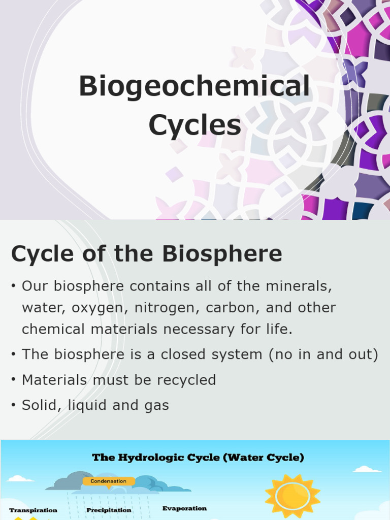 Biogeochemical Cycles | PDF