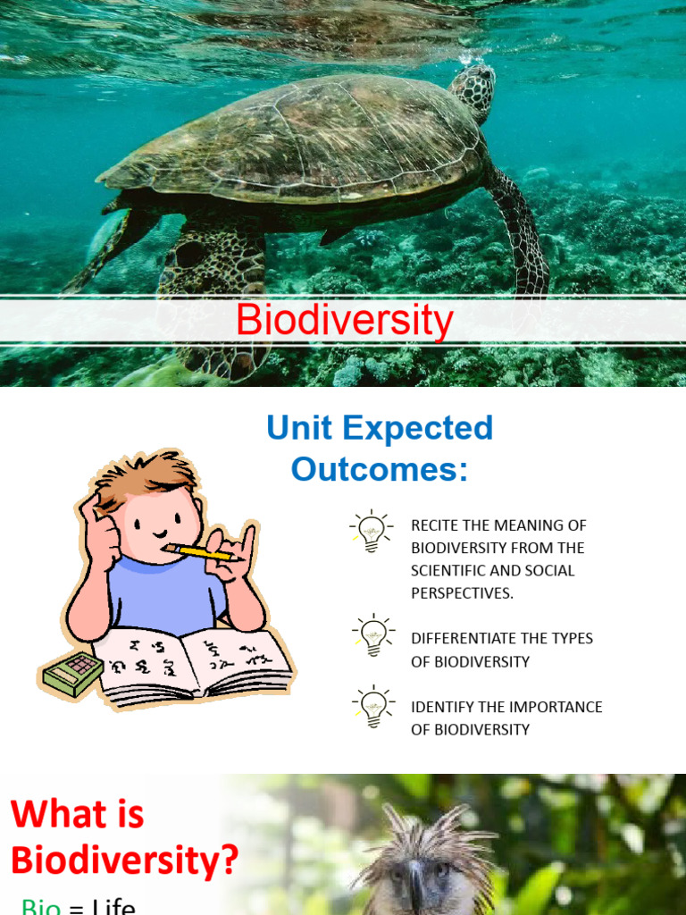 Understanding Biodiversity: Types & Importance | PDF | Ecosystem ...
