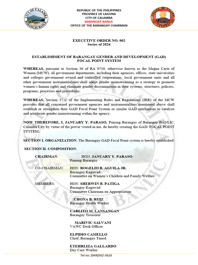 Barangay GAD Focal Point System | PDF | Justice | Crime & Violence