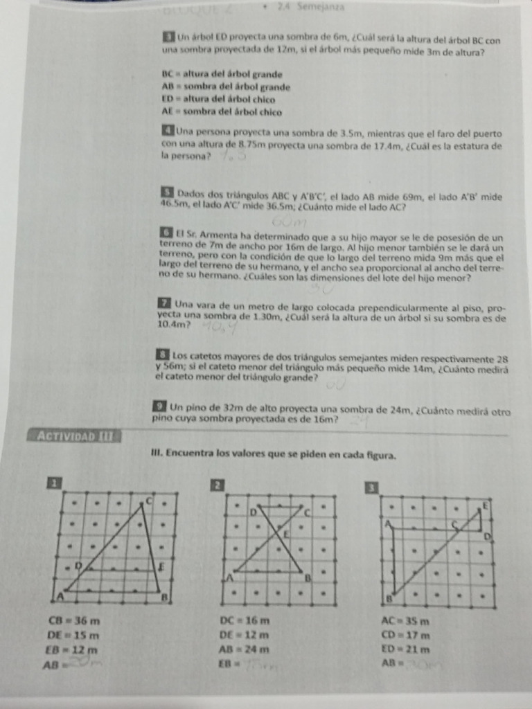 Tarea 17 | PDF | Geometría | Geometria clasica
