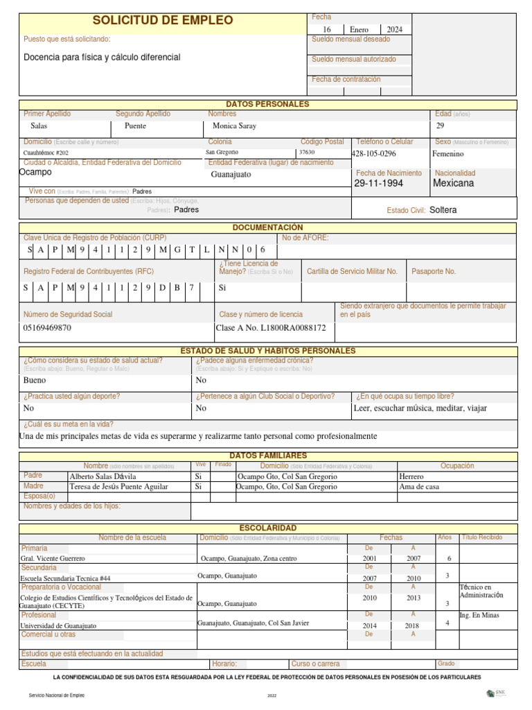 Sne Solicitud de Empleo Plantilla PDF | PDF