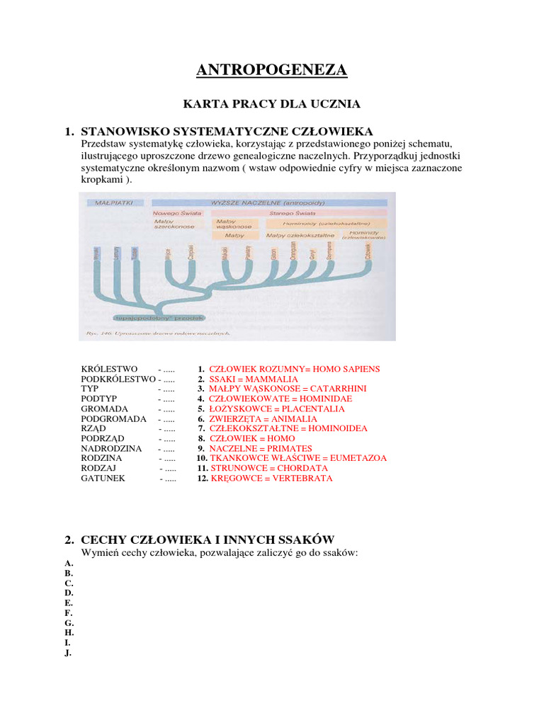 Antropogeneza Karta Pracy Dla Ucznia | PDF