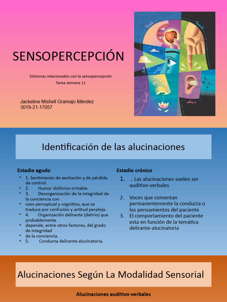 GUÍA SENSOPERCEPCIÓN | PDF | Lóbulo temporal | Alucinación