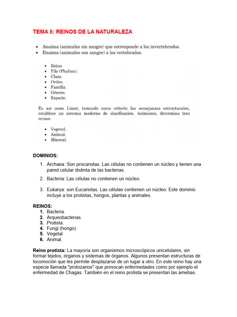 Reino Planta y Animalia | PDF | Plantas | Hongo