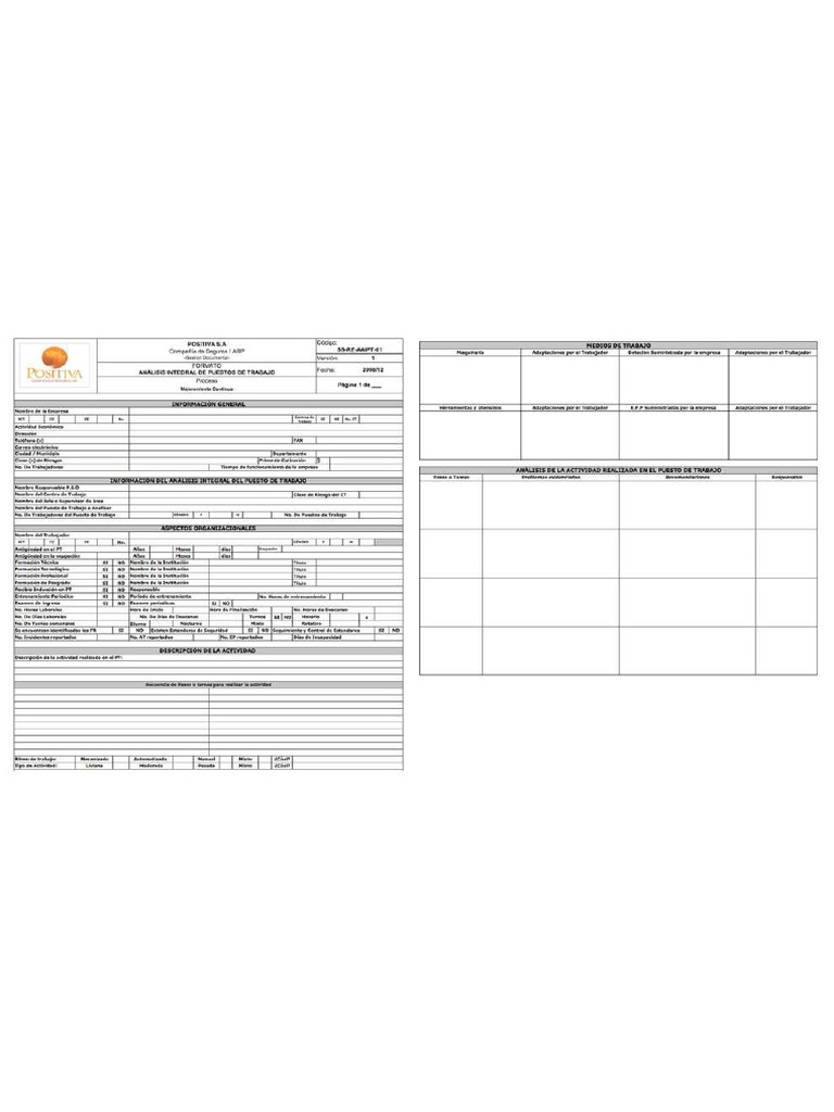 Formato Arl Positiva | PDF