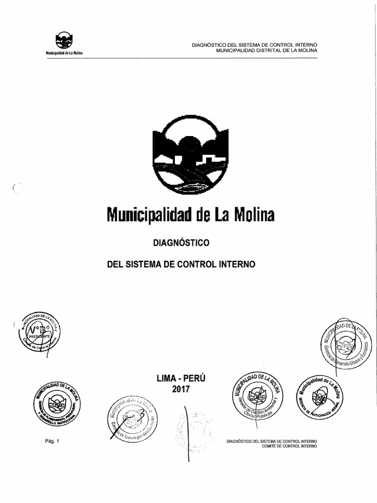 Diagnostico SCI MDLM | PDF