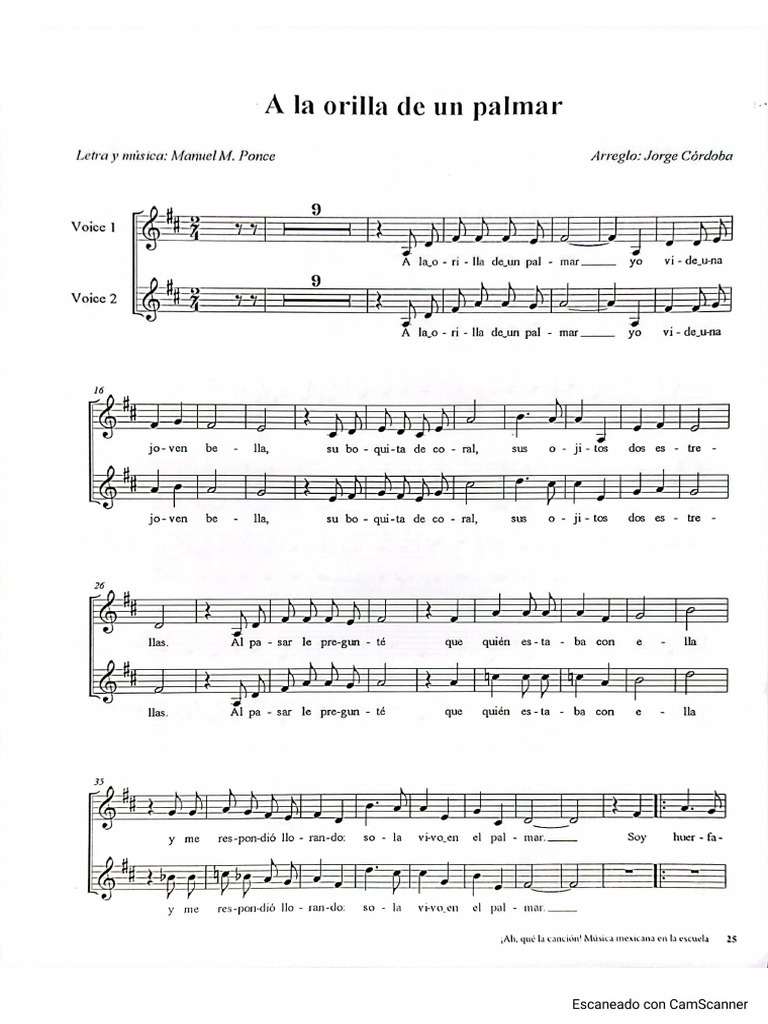 Ala Orilla de Un Palmar | PDF