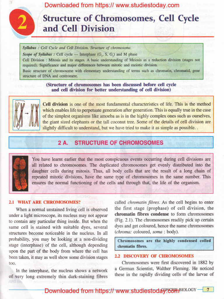ICSE Class 10 Biology Chapter 02 Structure of Chromosomes Cell Cycle and Cell Division | PDF