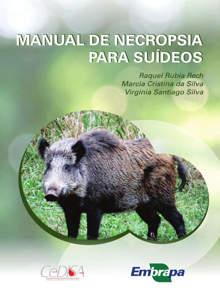 Manual de Necropsia para Suideos | PDF
