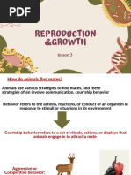 Courtship Behaviors in Animals Explained | PDF | Male | Behavior