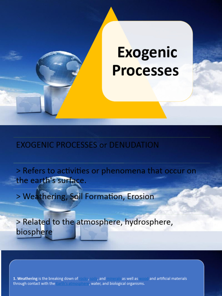 Exogenic Processes | Download Free PDF | Weathering | Erosion
