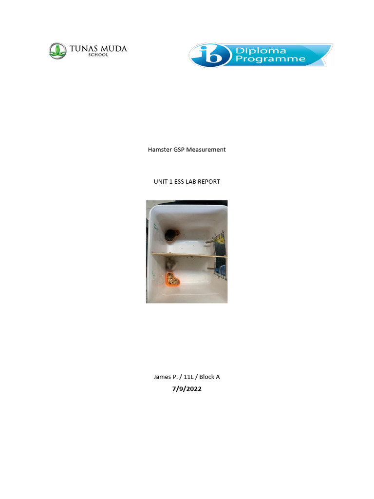 Updated-ESS Lab Report Guidance | PDF | Methodology | Survey Methodology