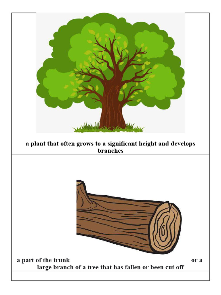 Pictionary Game Material | PDF