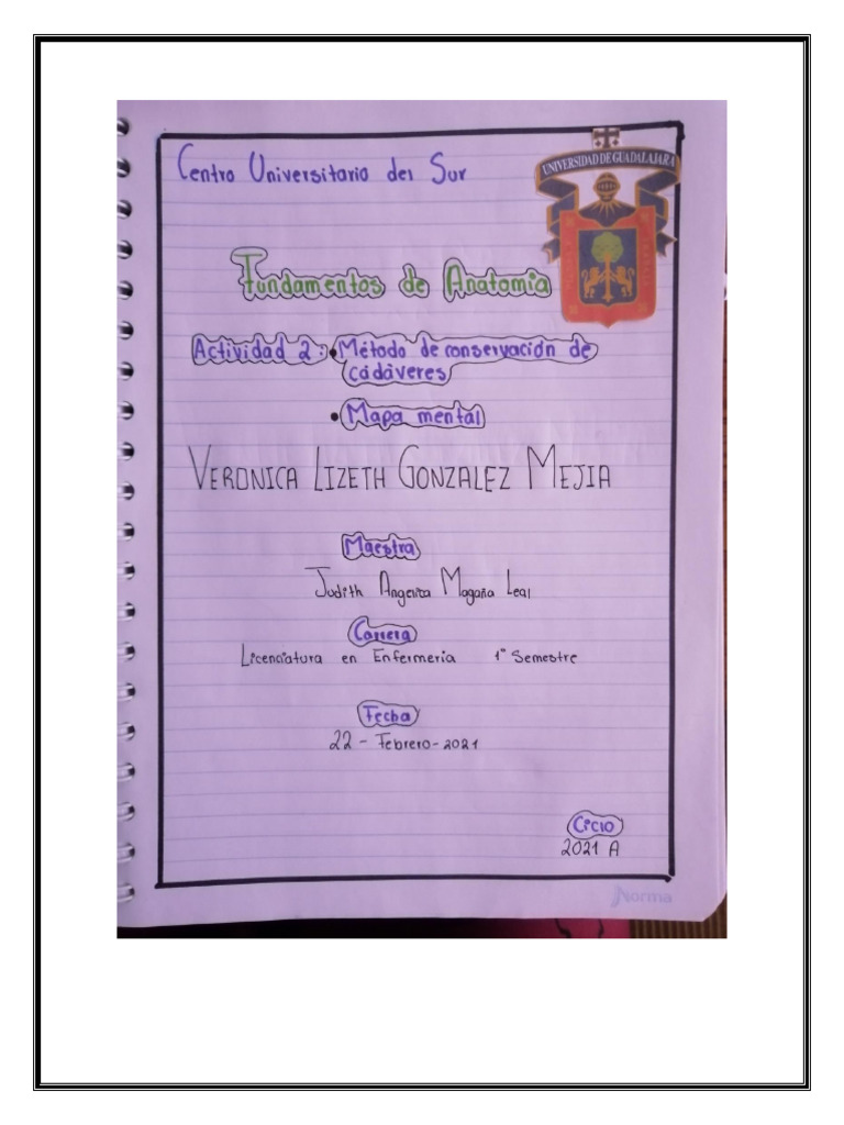 ACT2_FUNDAMENTOS DE ANATOMIA | PDF