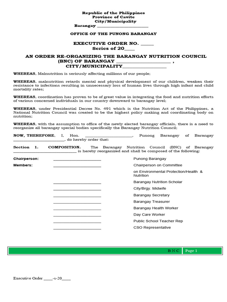 Executive Order BNC Template | PDF | Malnutrition | Health Care
