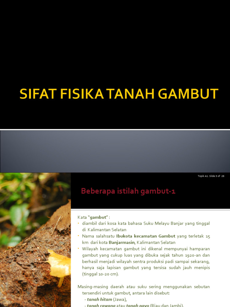 7.sifat Fisika Tanah Gambut | PDF