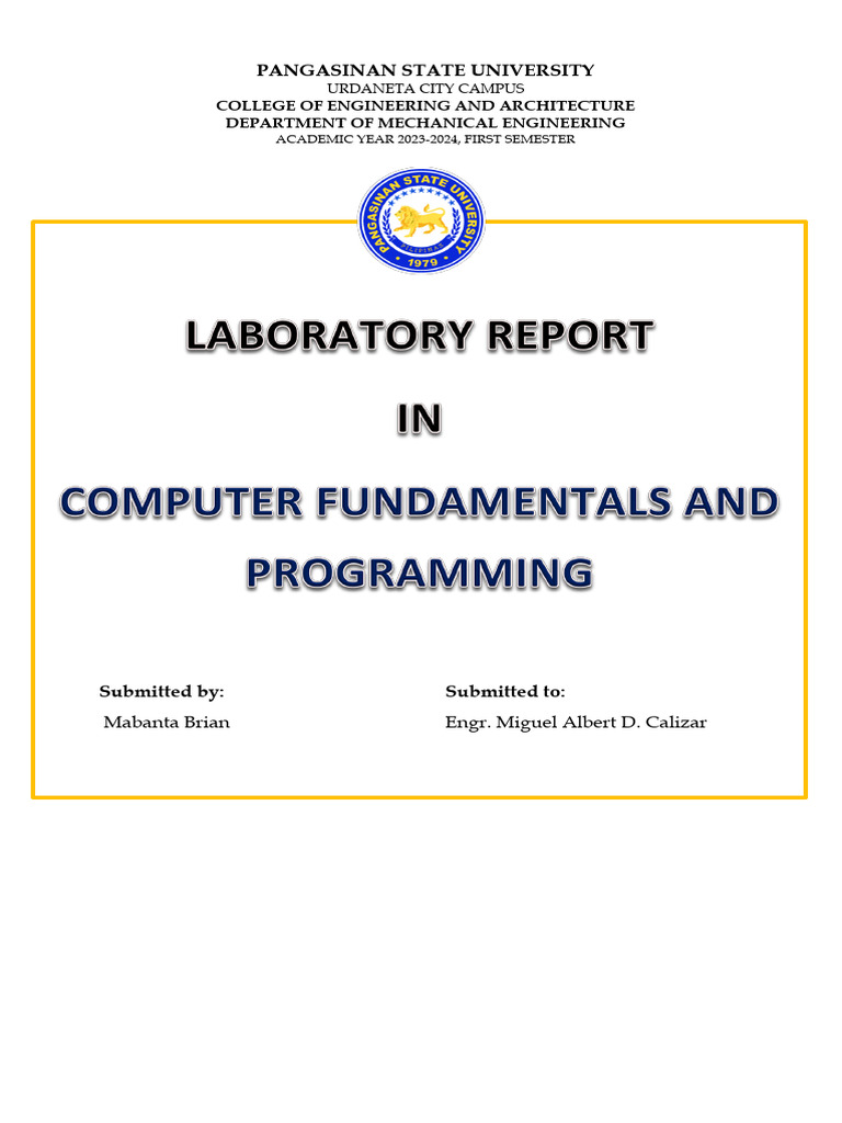 Array Programming Lab Report | PDF | Computers | Technology & Engineering