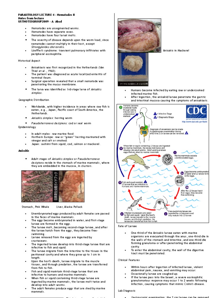 Parasitology-Lec 4 Anisakis u 2006