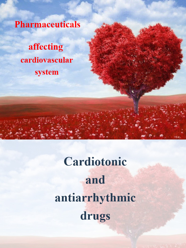 04 Cardiotonic, Antharrythmic | PDF | Heart | Cardiac Muscle