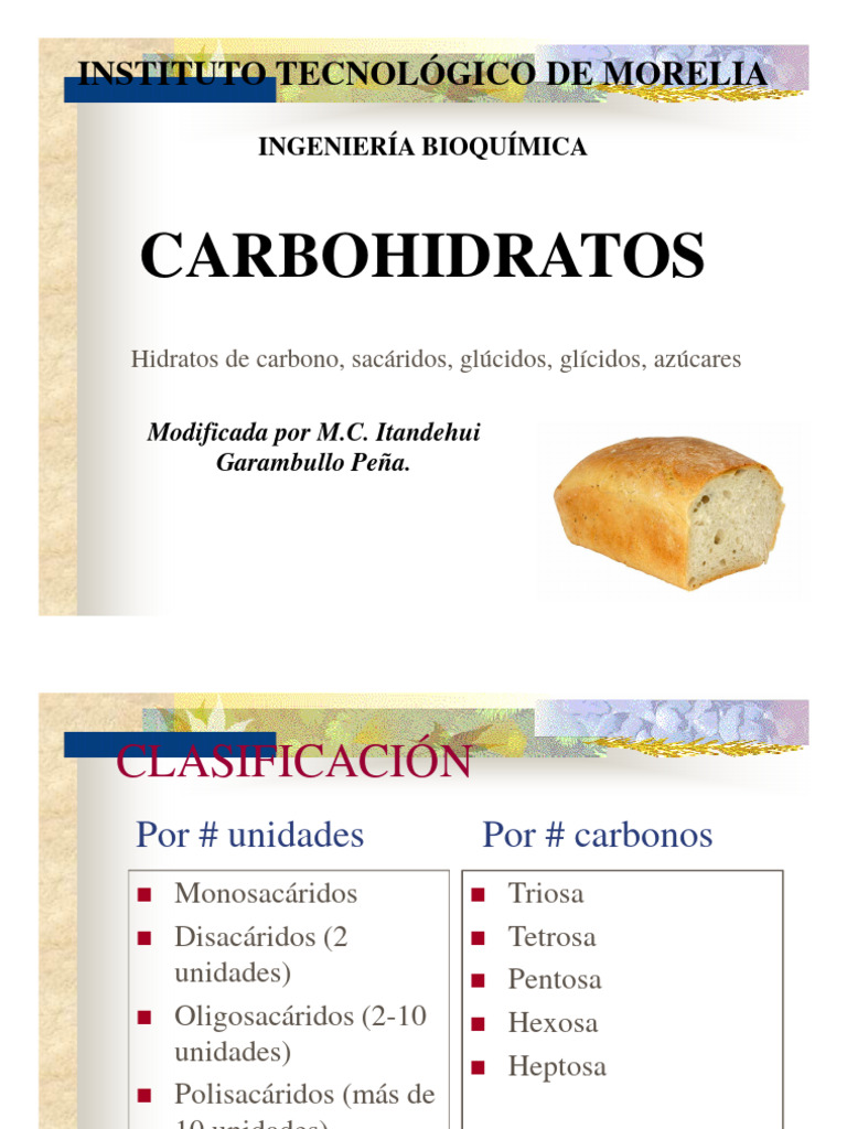 CARBOHIDRATOS | PDF | Carbohidratos | Polisacárido