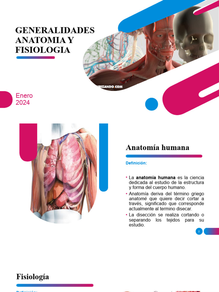 Generalidades Anatomia y Fisiologia | PDF | Anatomía | Fisiología
