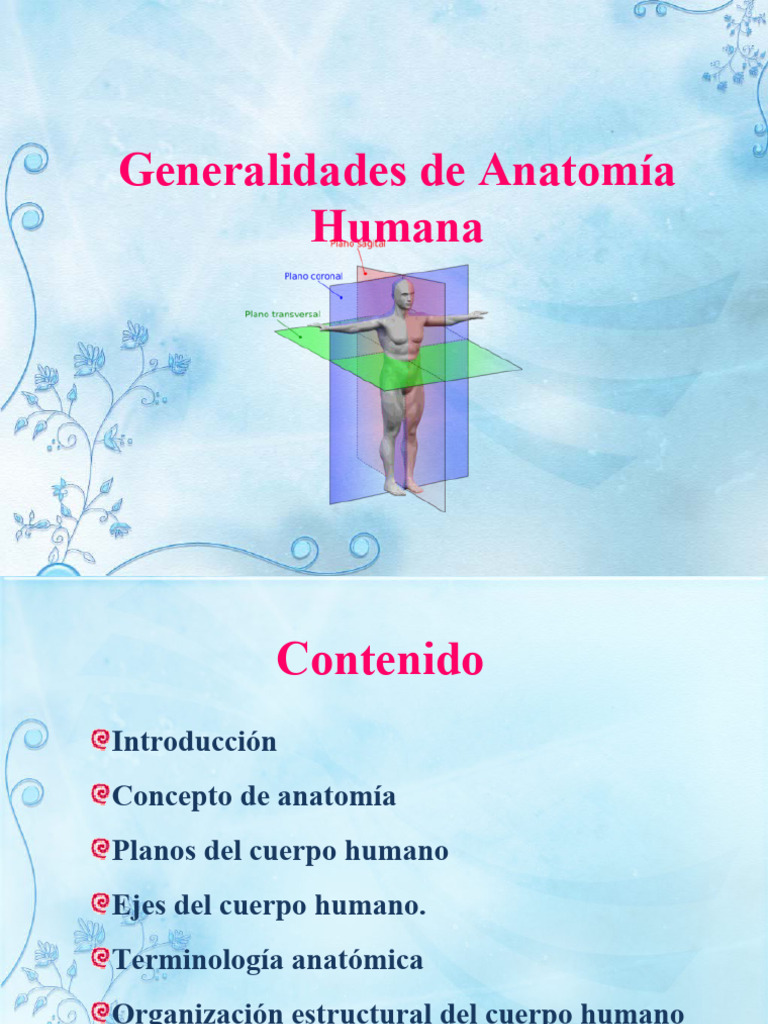 Generalidades Anatomia Humana Enfermeria | Descargar gratis PDF ...