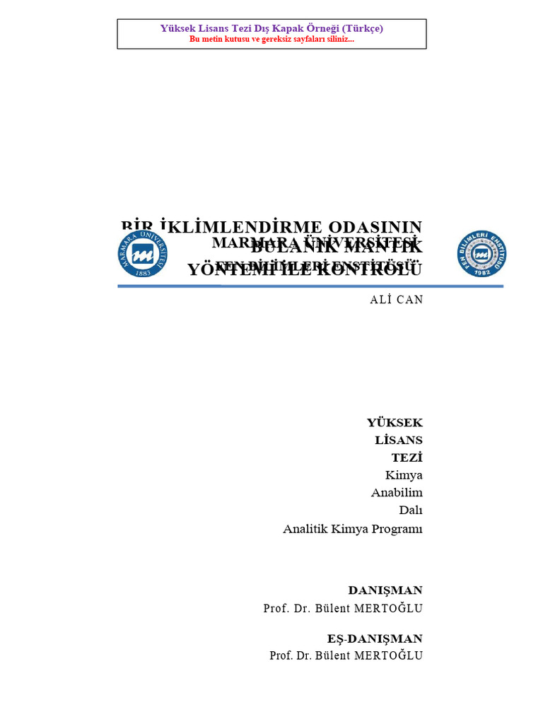 FBE Tez Sablonu | PDF