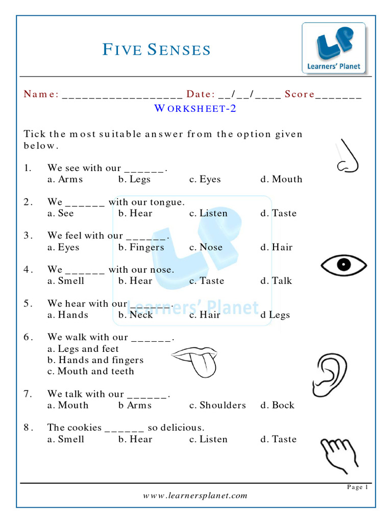 Understanding the Five Senses Worksheet | PDF