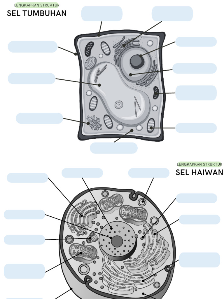 Label Sel Haiwan Dan Tumbuhan | PDF