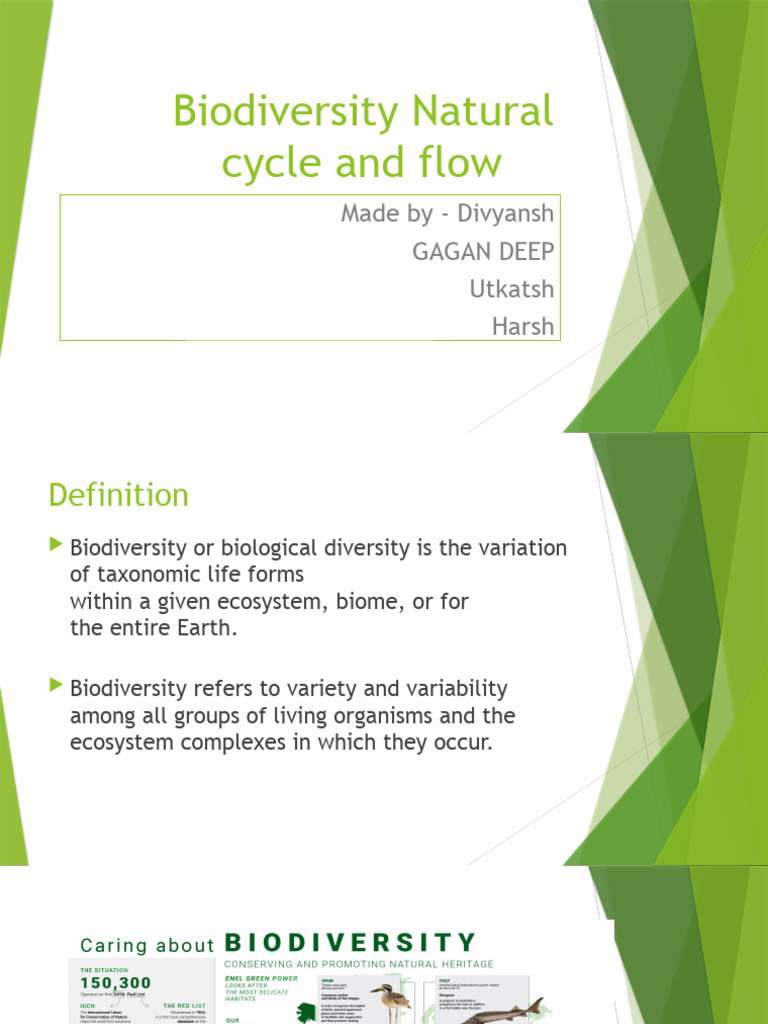 Biodiversity Natural Cycle and Flow (Autosaved) .PPTM | PDF | Wellness ...