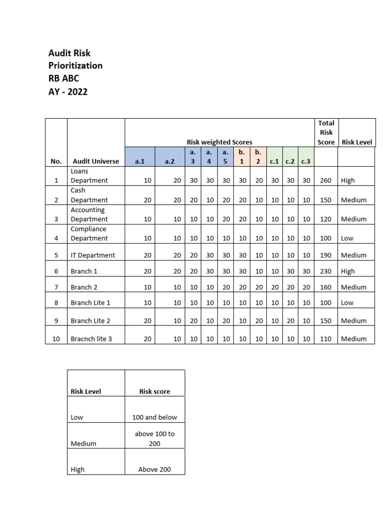 Template - Audit Risk Prioritization | PDF