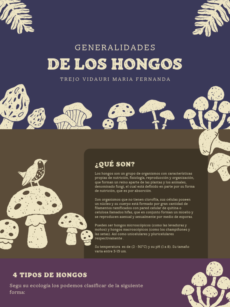 Tipos y Efectos de los Hongos en Humanos | PDF | Hongo | Reproducción